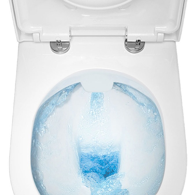 Back To Wall Rimless Toilet with Soft Close Seat + Concealed Cistern ...
